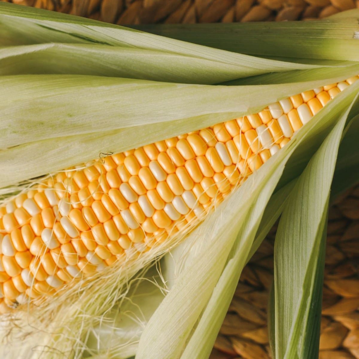 Is Corn Low FODMAP? – Nosh Nourish Wander