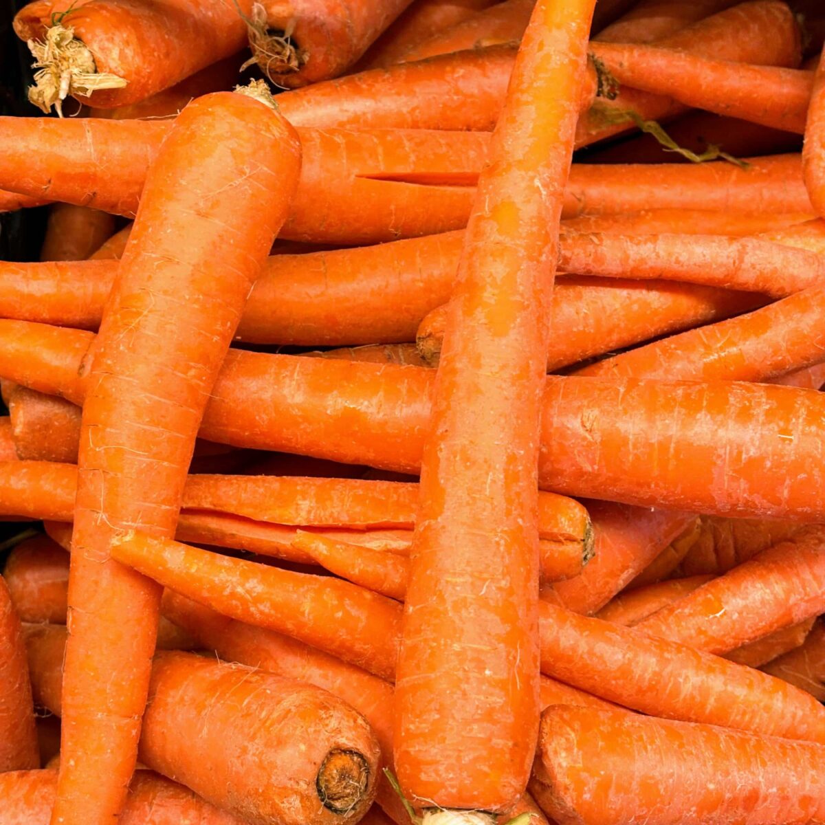 The Ultimate Guide to Low FODMAP Vegetables – Nosh Nourish Wander